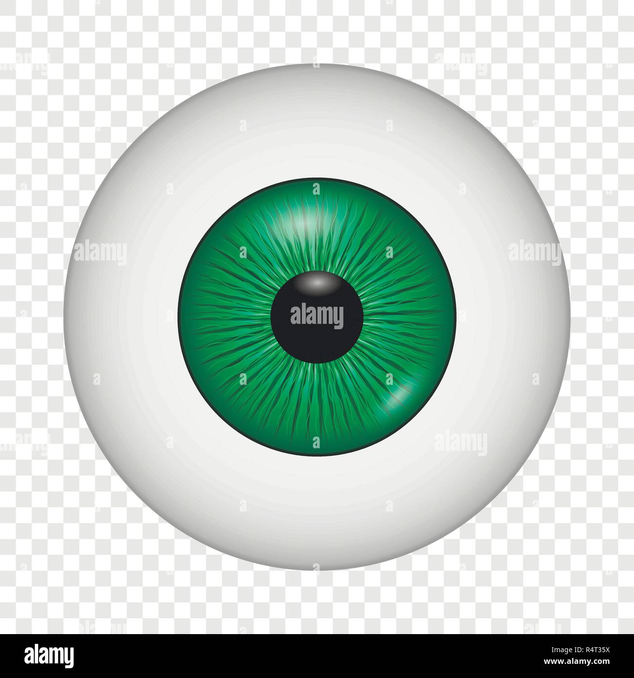Human eye icon. Realistic illustration of human eye vector icon for on ...