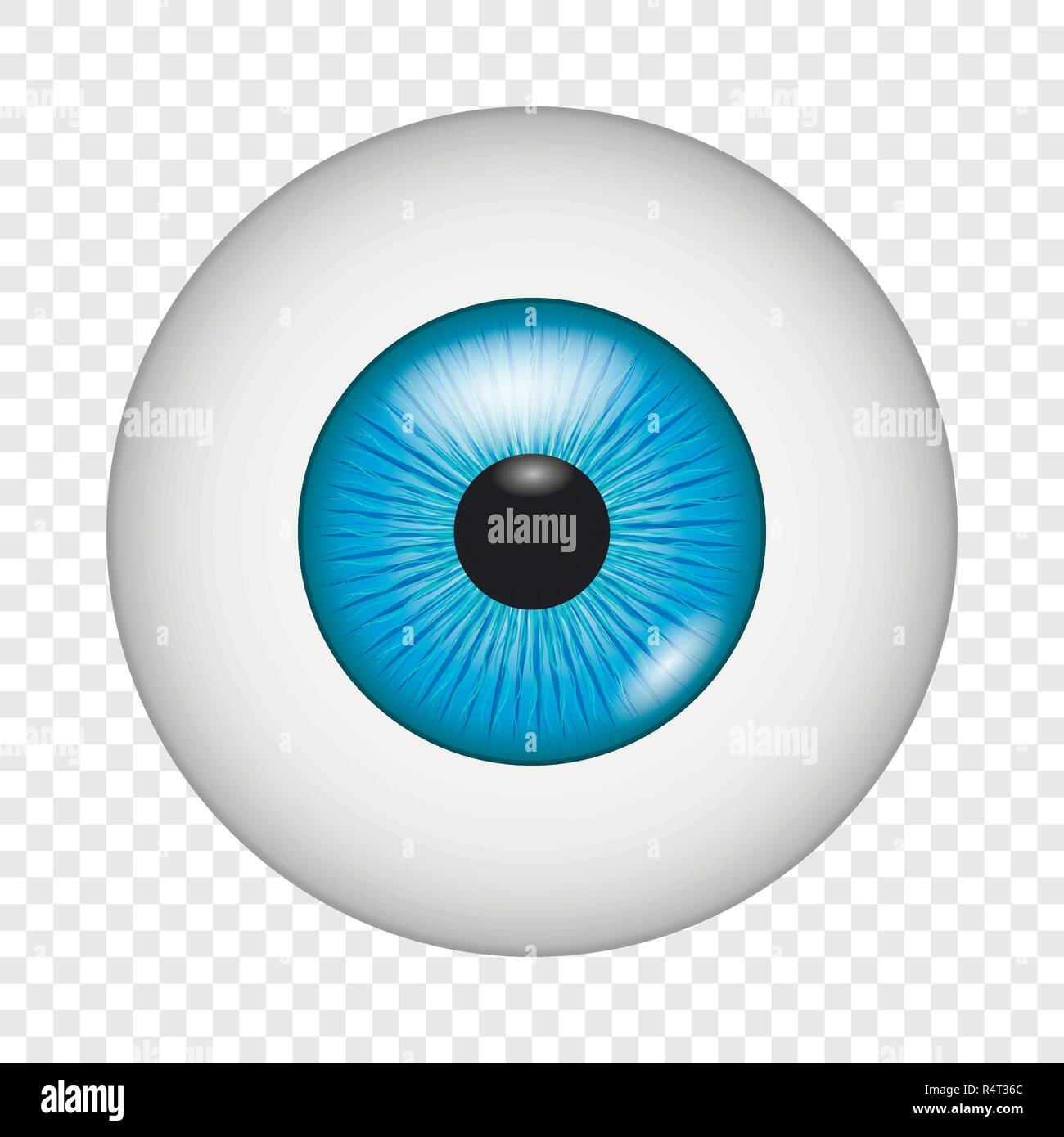 Eyesight icon. Realistic illustration of eyesight vector icon for on ...