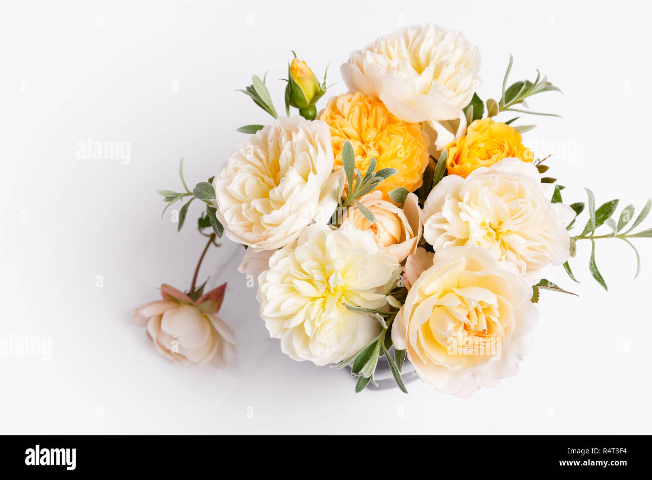 Bouquet of light cream roses on a white background Stock Photo - Alamy