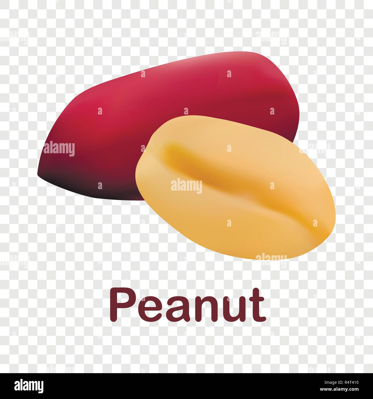 Peanut icon. Realistic illustration of peanut vector icon for on ...