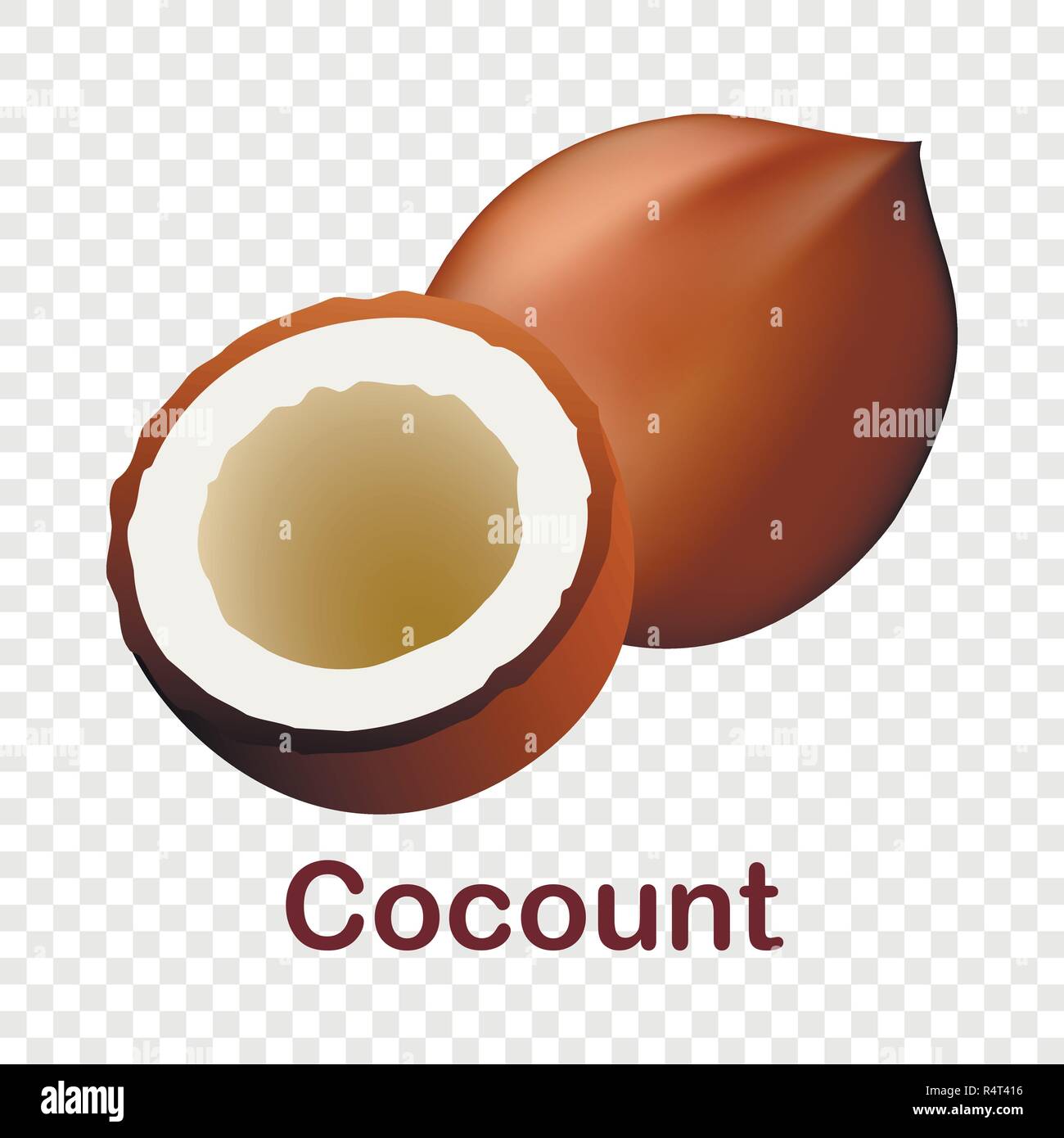 Coconut icon. Realistic illustration of coconut vector icon for on ...