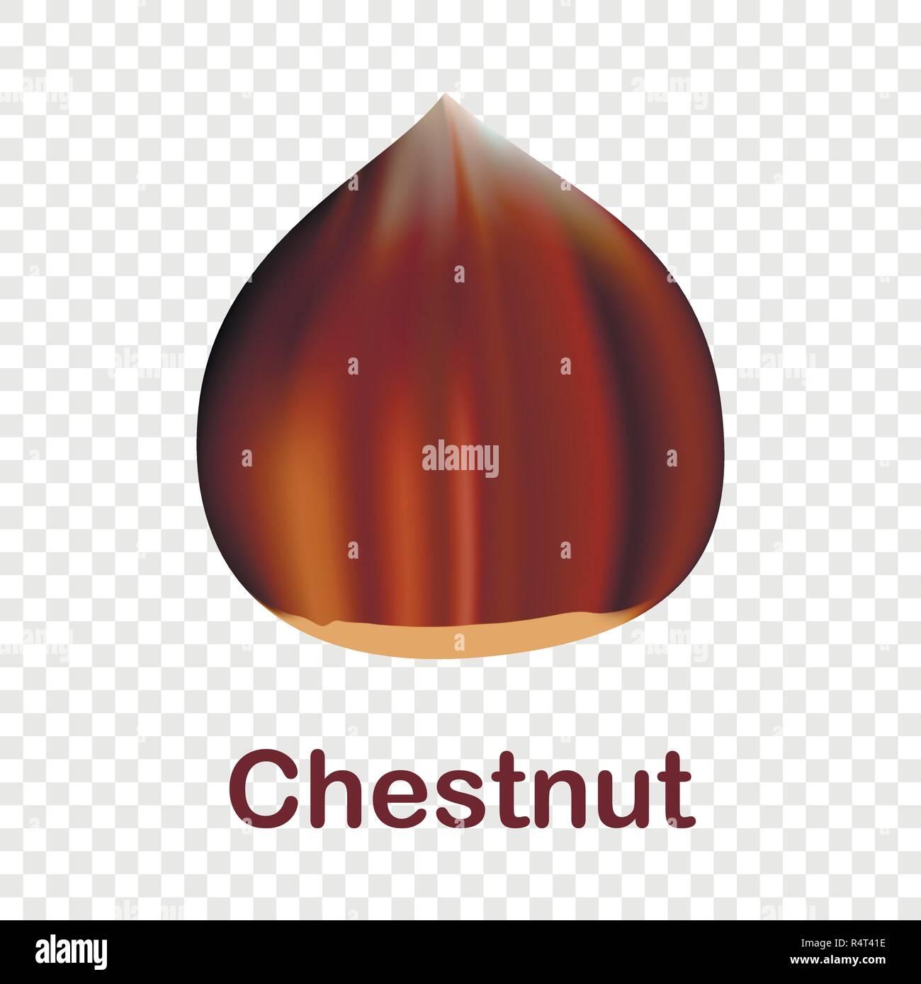Chestnut icon. Realistic illustration of chestnut vector icon for on ...