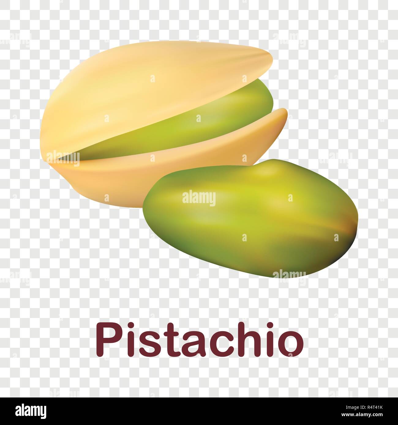 Pistachio icon. Realistic illustration of pistachio vector icon for on ...