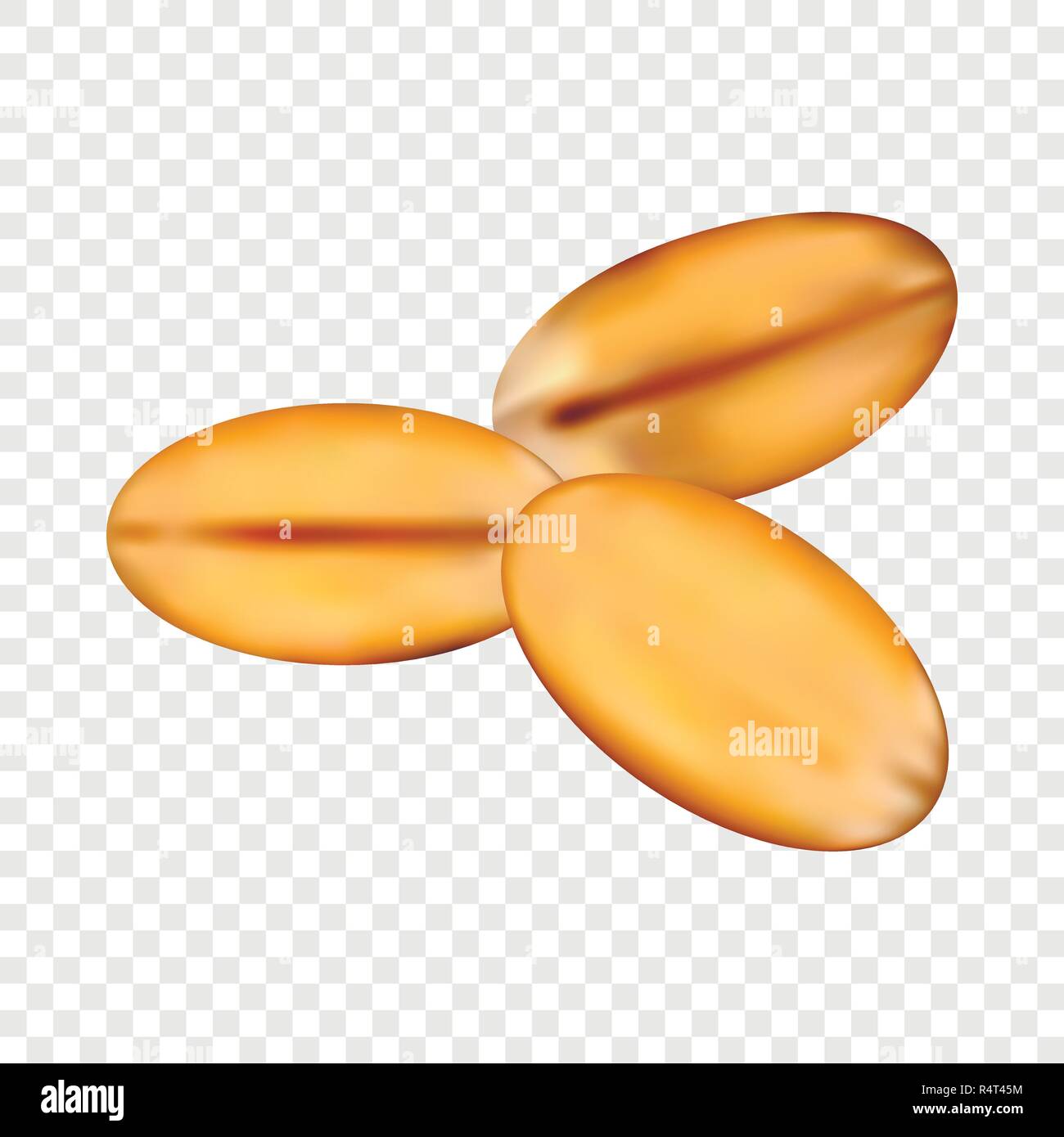 Grains of wheat icon. Realistic illustration of grains of wheat vector ...