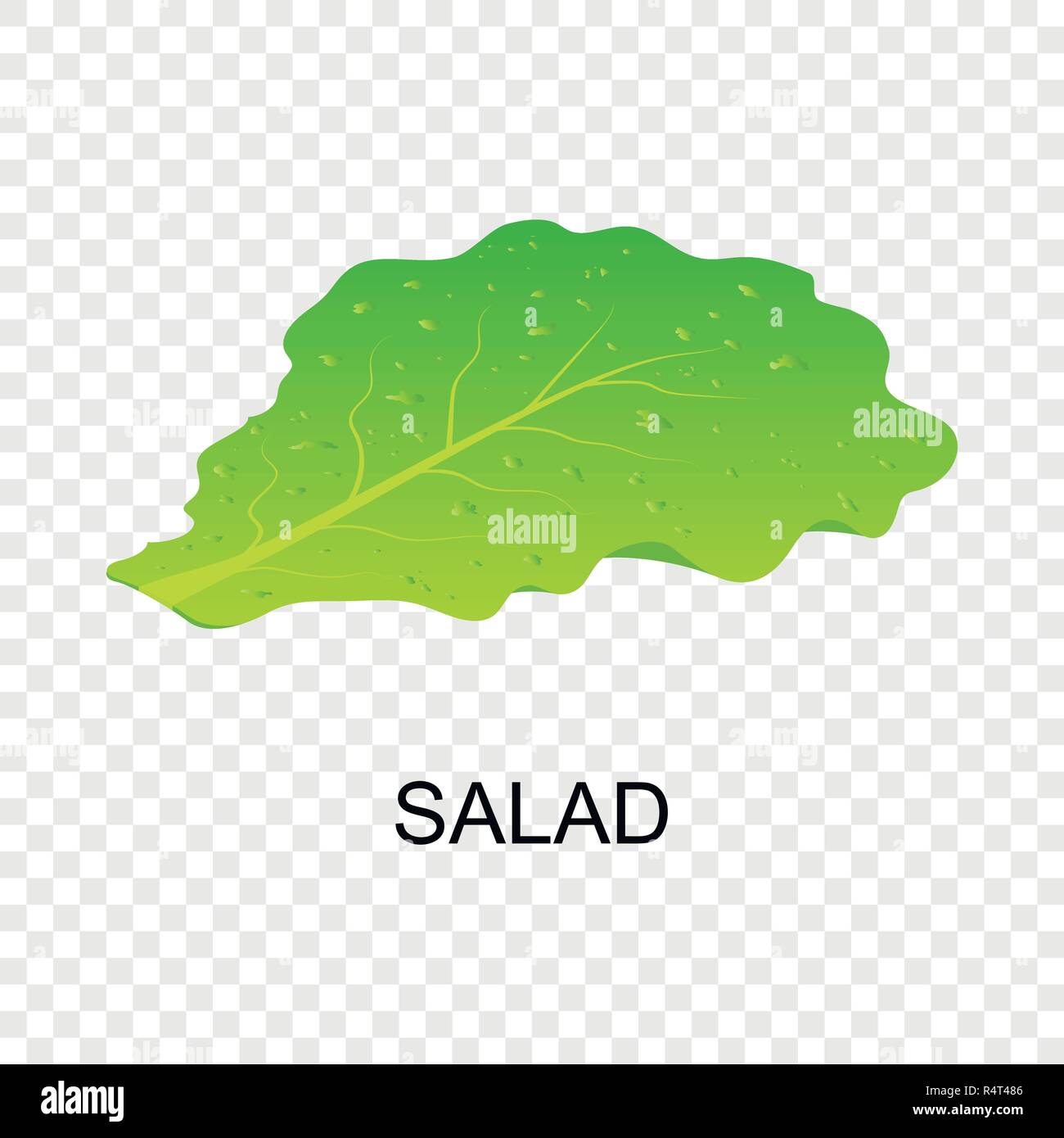 Kale cabbage salad on Stock Vector Images - Alamy