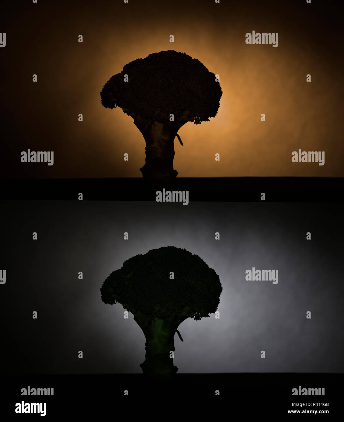 Cabbage broccoli on black background double image isolate shadow Stock ...