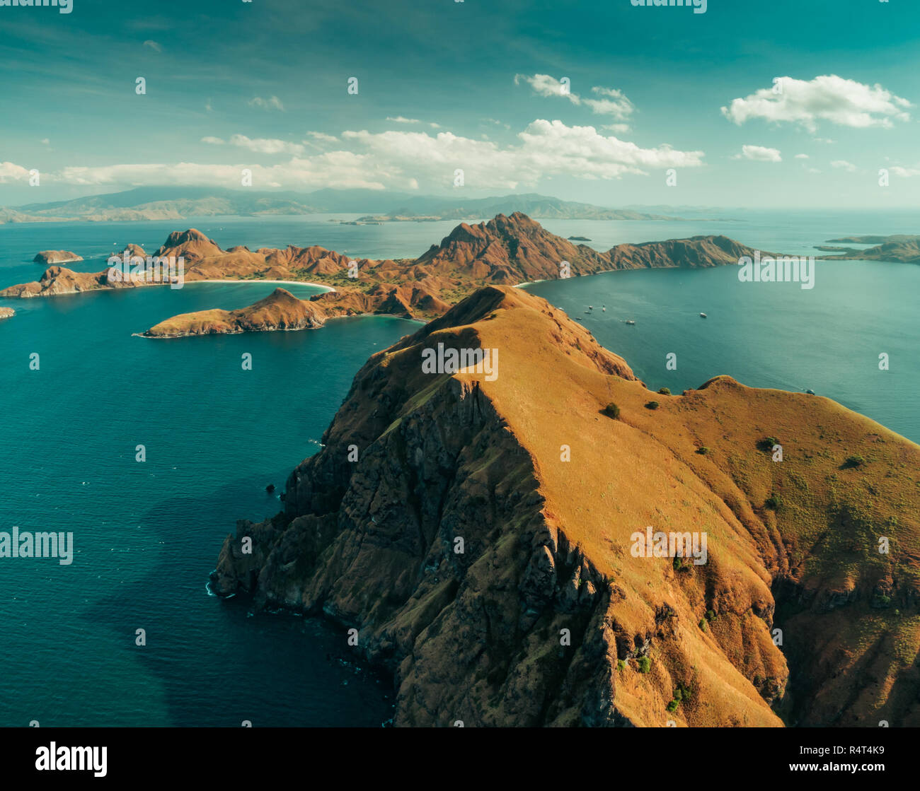 Komodo dragon ecosystem hi-res stock photography and images - Alamy