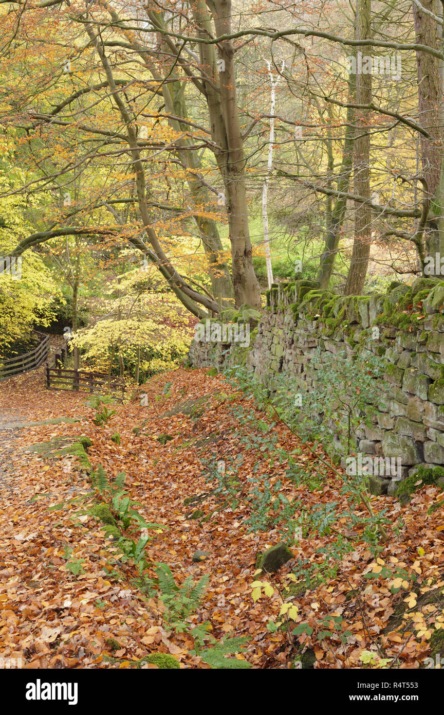 Goit hi-res stock photography and images - Alamy