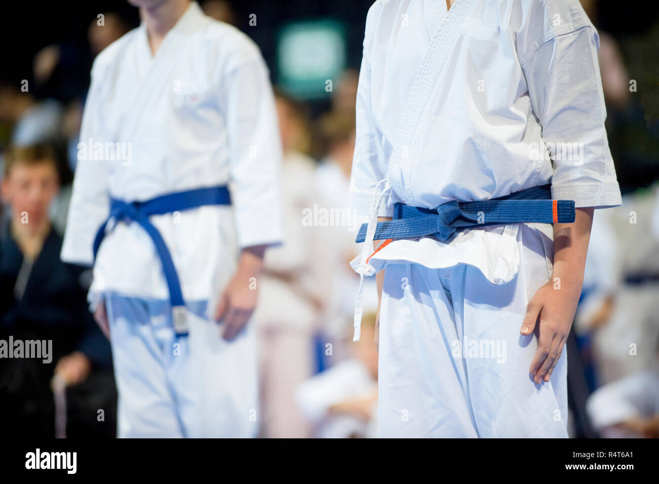 young, beautiful and successful karate boys in karate position Stock ...