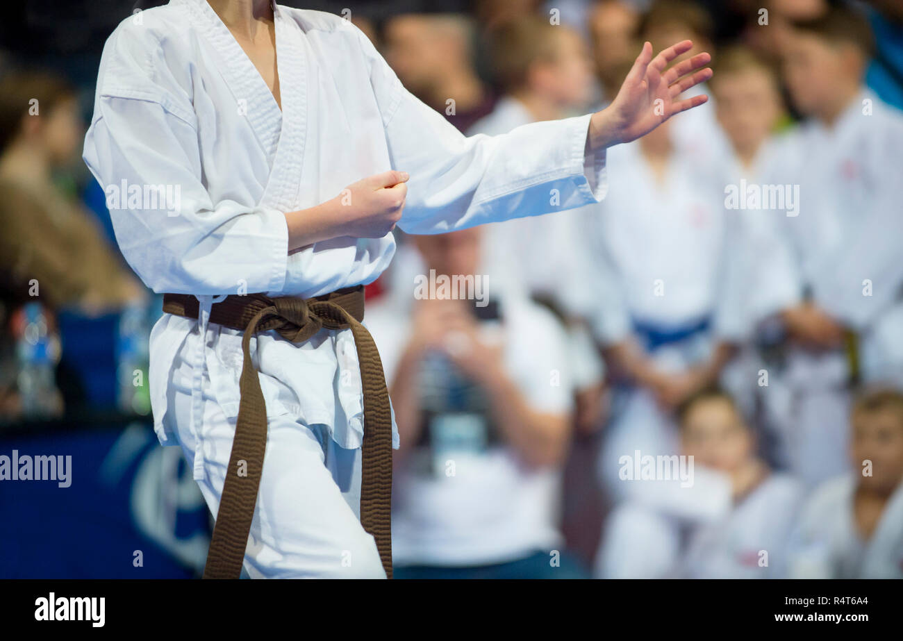 young, beautiful and successful karate kid in karate position. Sport ...