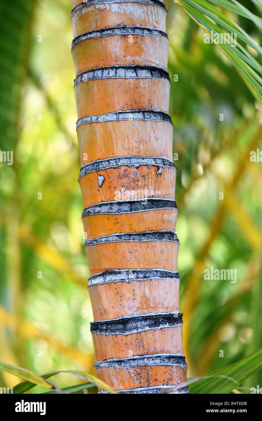 Concentric rings hi-res stock photography and images - Alamy