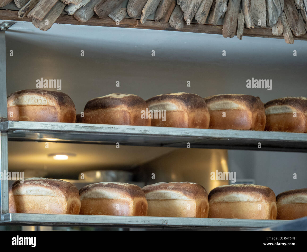Various loafs of freshly baked bread sitting on steel kitchen shelf ...