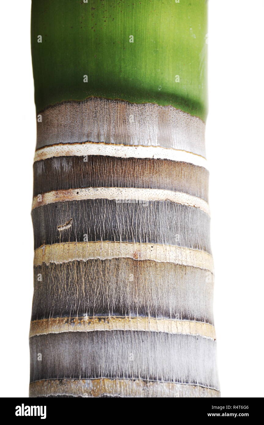 Concentric rings hi-res stock photography and images - Alamy