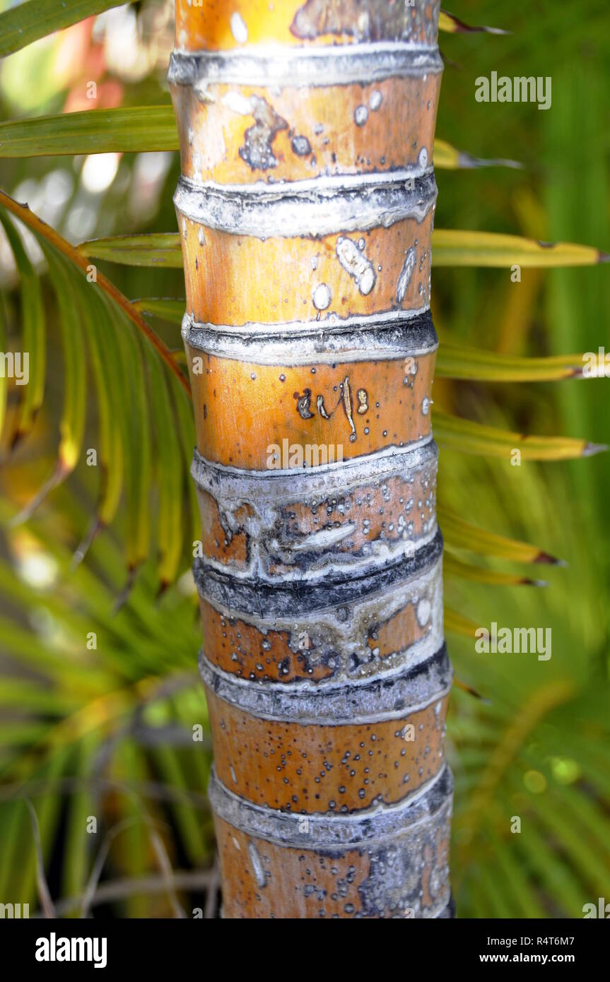 Concentric rings hi-res stock photography and images - Alamy