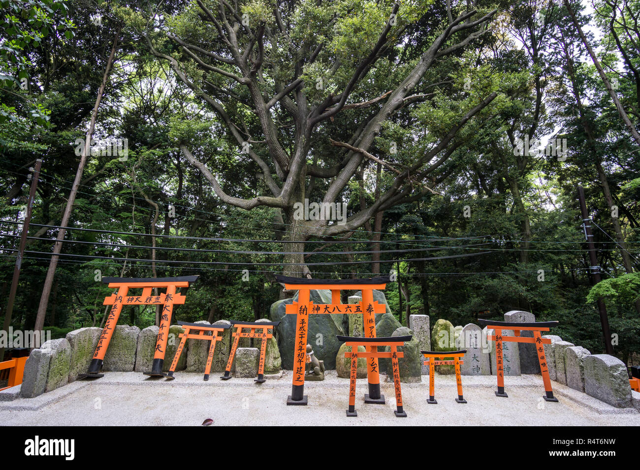 fushimi inari shinto shrine Stock Photo - Alamy