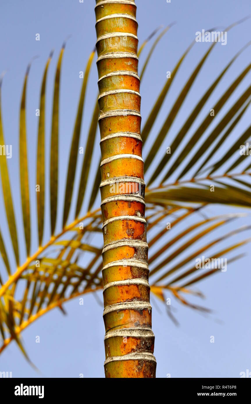 Concentric rings hi-res stock photography and images - Alamy