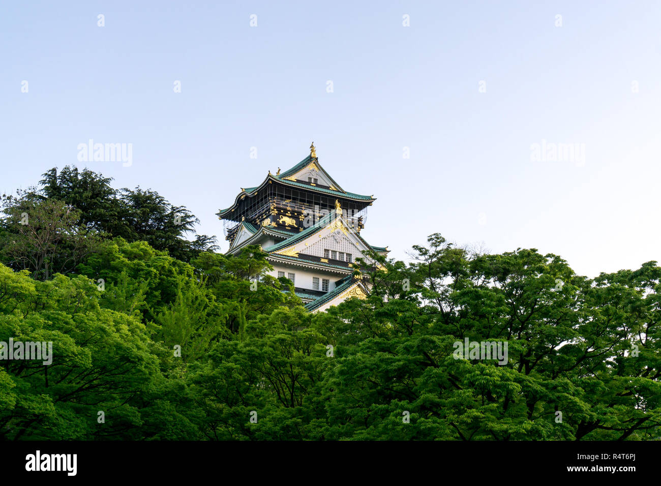 Comprehensive viewpoint hi-res stock photography and images - Alamy