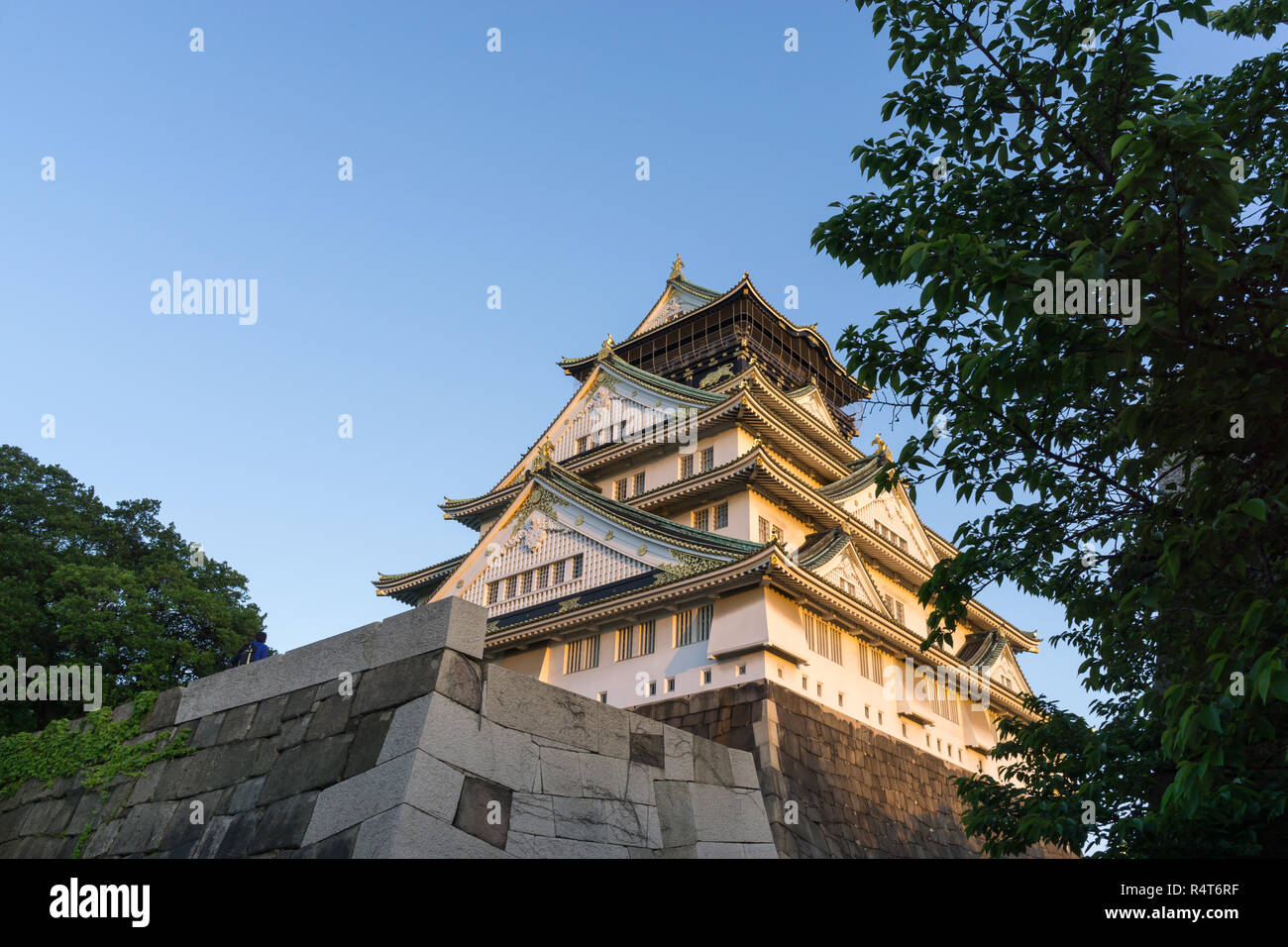 Comprehensive viewpoint hi-res stock photography and images - Alamy