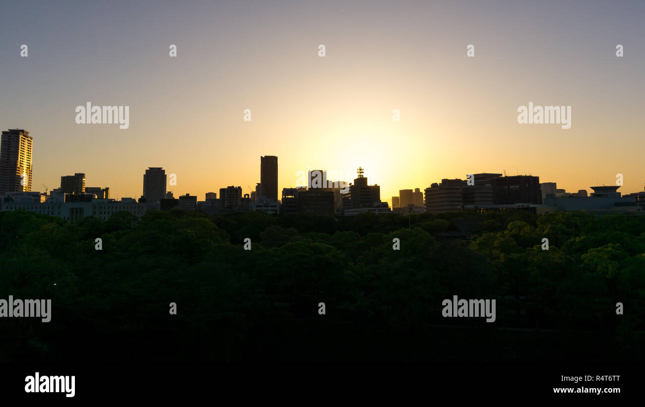 Comprehensive viewpoint hi-res stock photography and images - Alamy