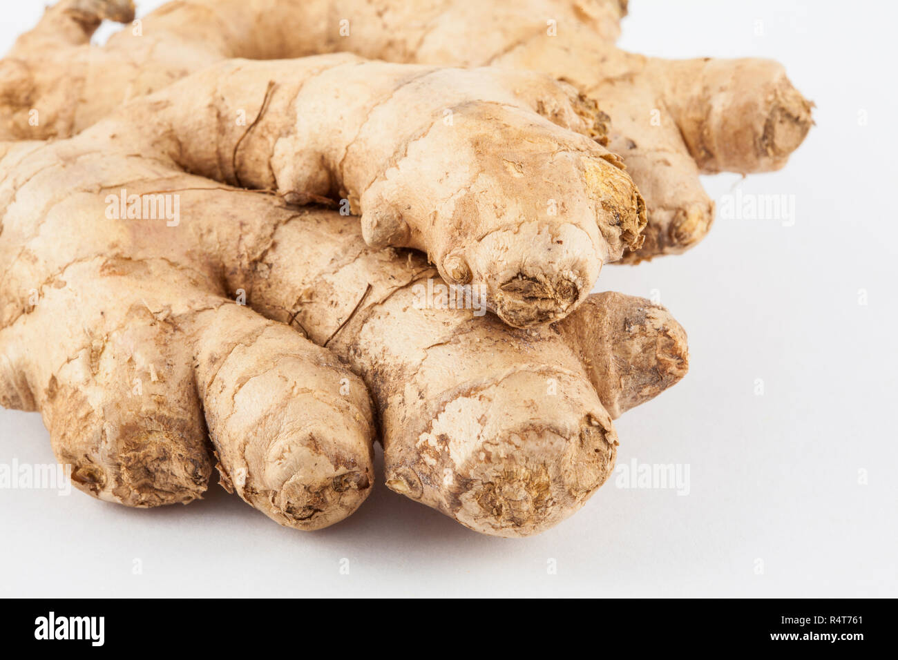 Ginger (Zingiber officinale) isolated Stock Photo - Alamy