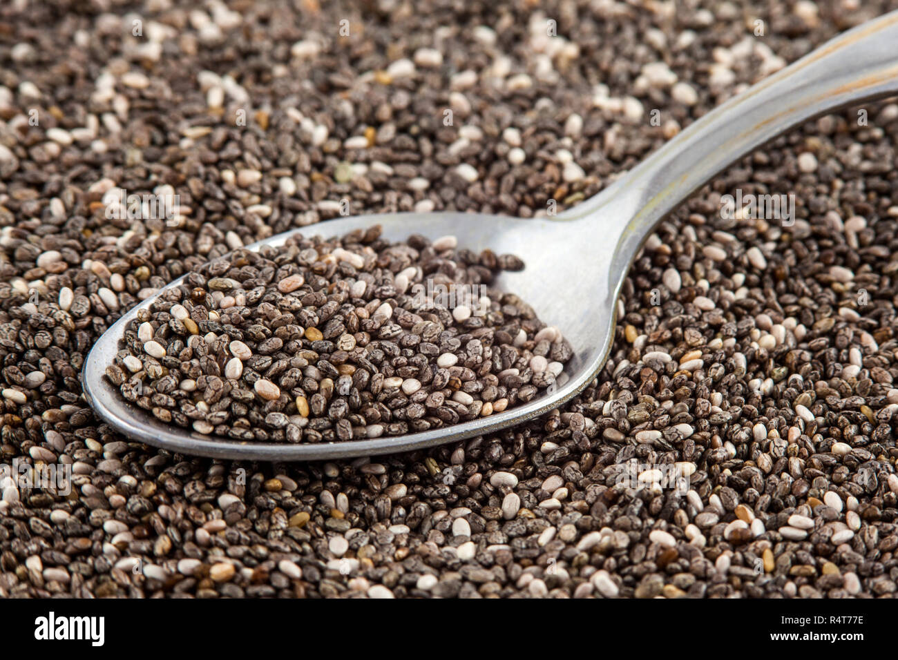 Chia seeds (Salvia hispanica Stock Photo - Alamy