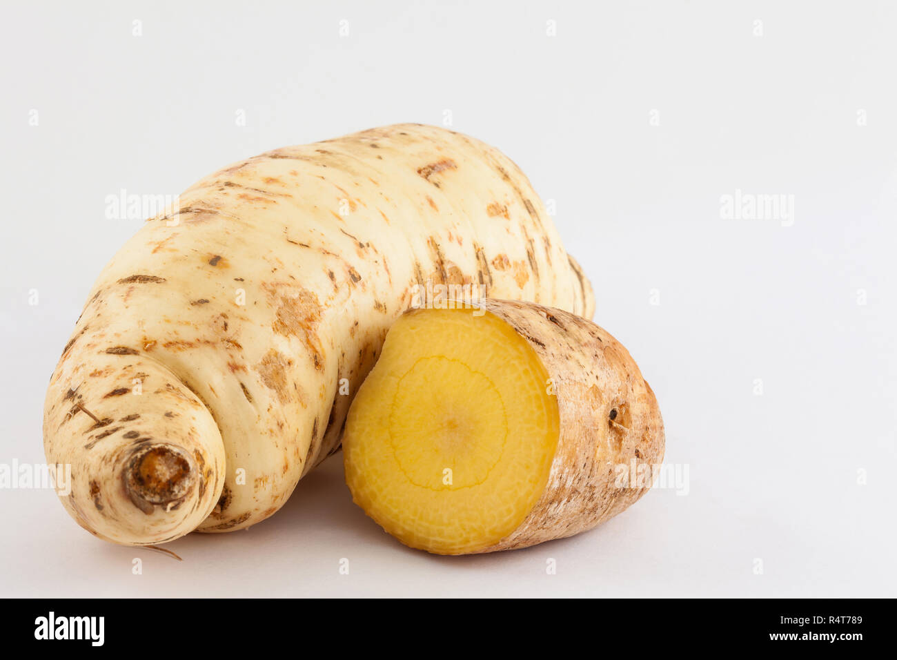 Arracacha (Arracacia xanthorrhiza) isolated Stock Photo - Alamy