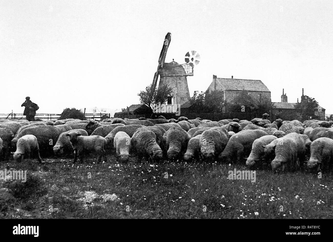 Biscot Windmill, Luton early 1900s Stock Photo - Alamy