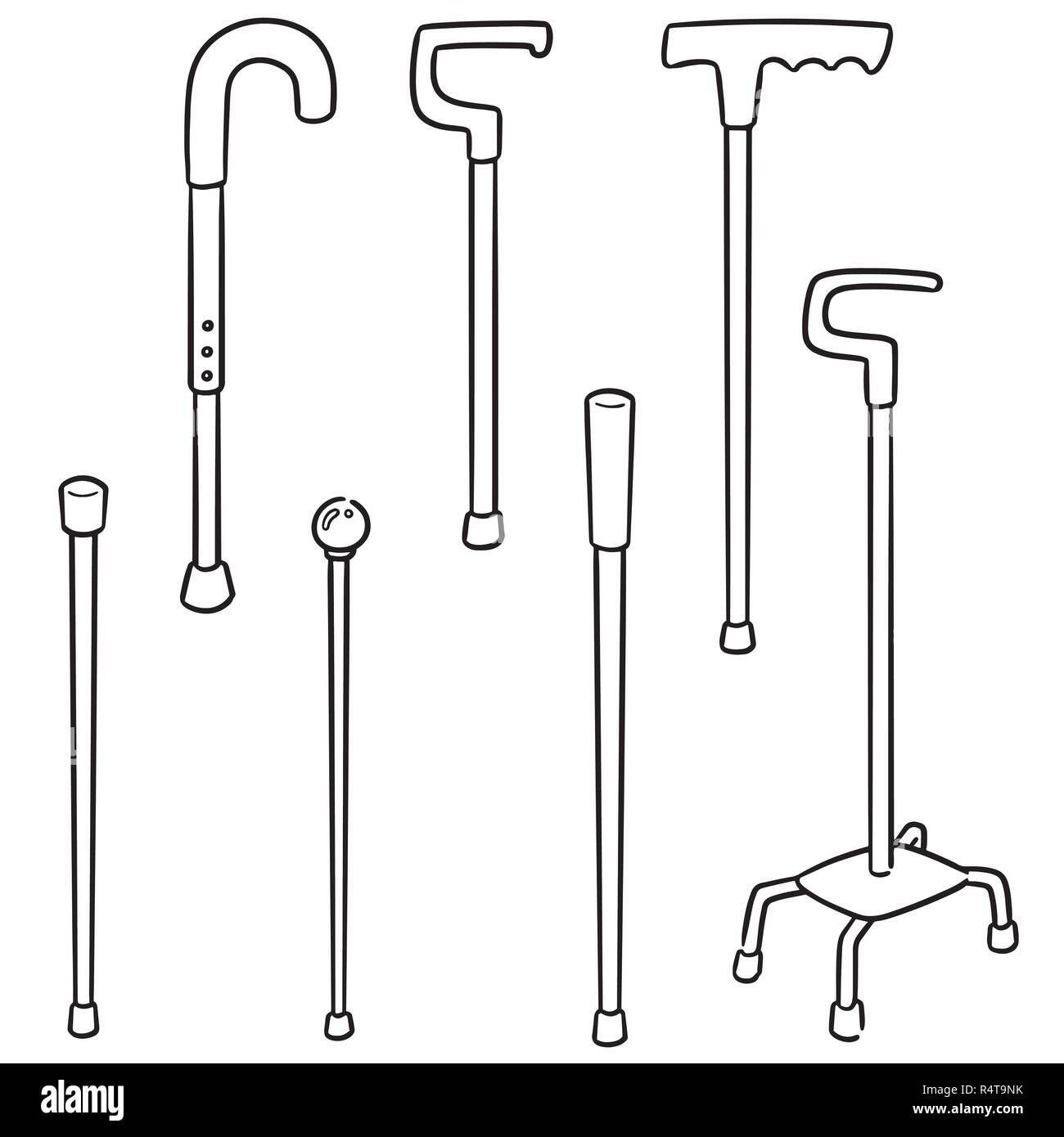 vector set of walking stick Stock Vector Image & Art - Alamy