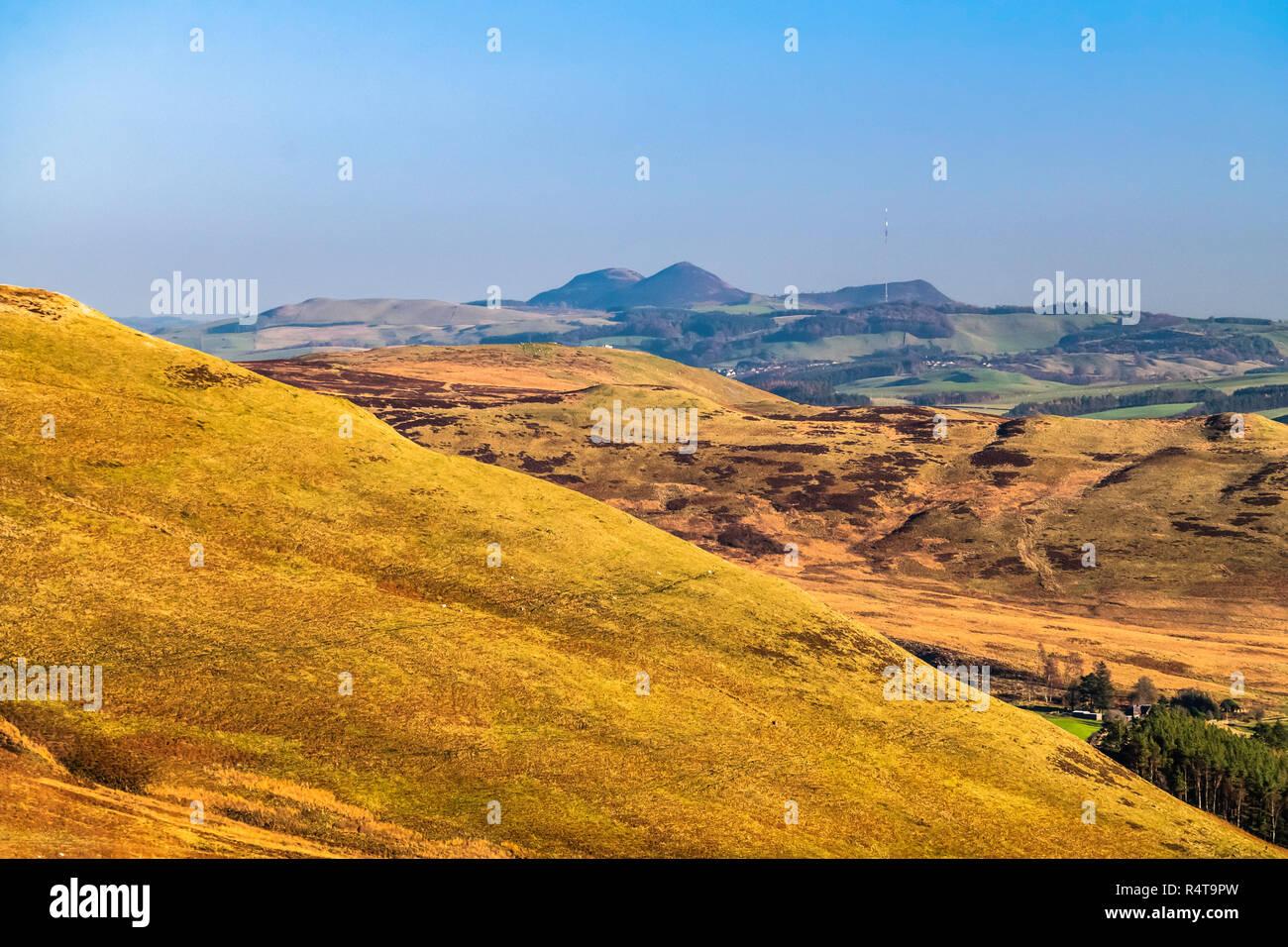 Farm Ettrick Valley High Resolution Stock Photography and Images - Alamy