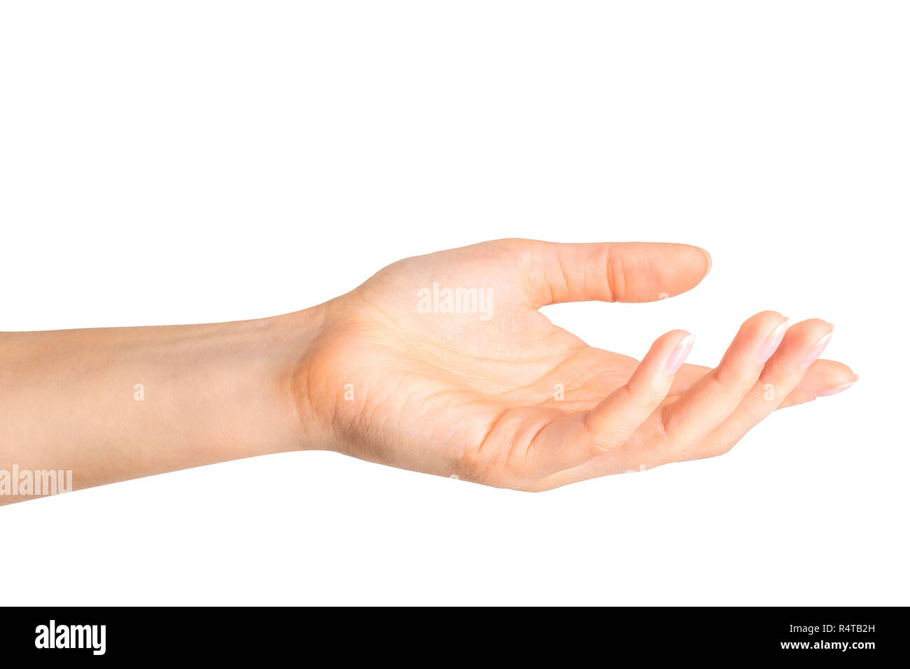 Woman showing open hand taking or showing something Stock Photo - Alamy