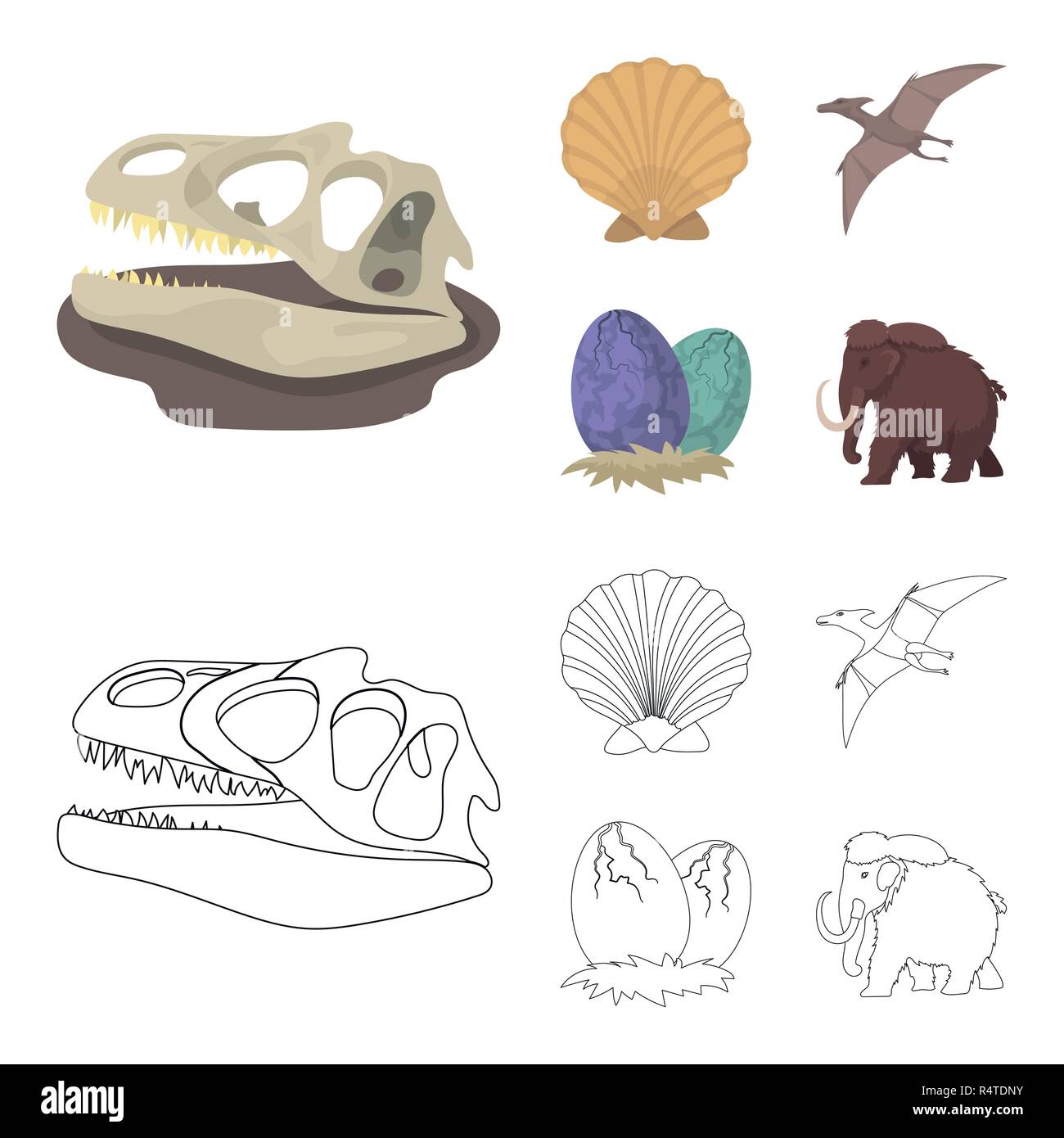 Prehistoric shell, dinosaur eggs,pterodactyl, mammoth. Dinosaur and ...