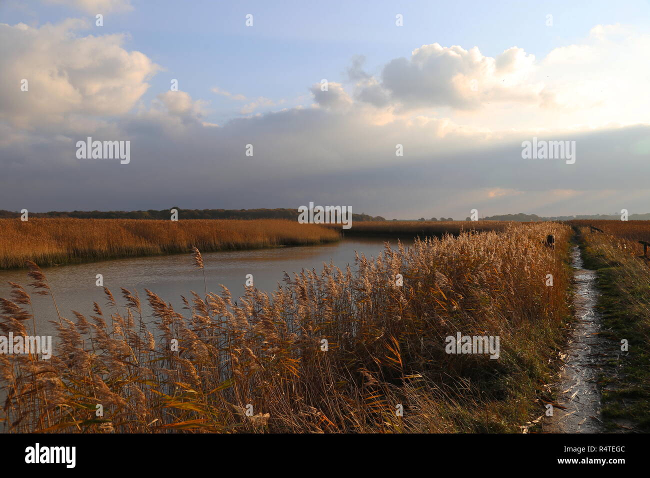 River alde landscape hi-res stock photography and images - Alamy