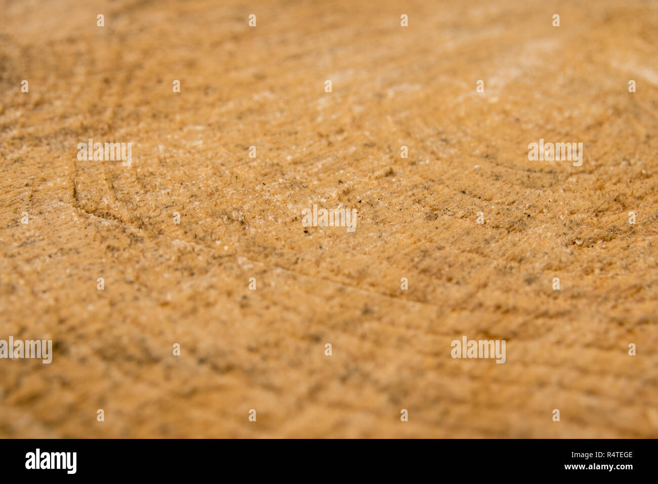 wood growth rings Stock Photo - Alamy