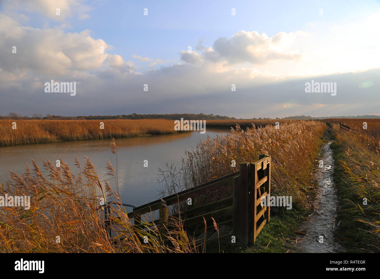 Alde estuary landscape hi-res stock photography and images - Alamy