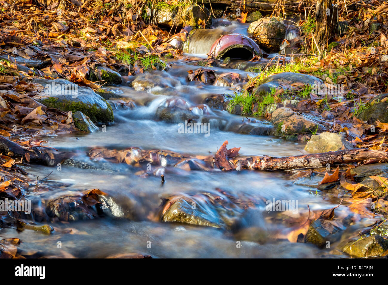 Flood water gushes through an intersting pipe and downed branches ...