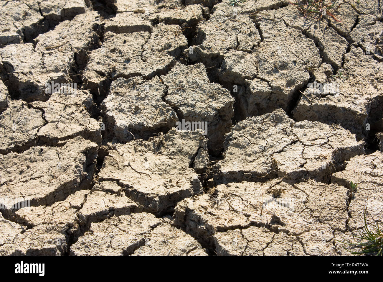 Cracked and dried up mud by the Cuckmere River, East Sussex Stock Photo ...