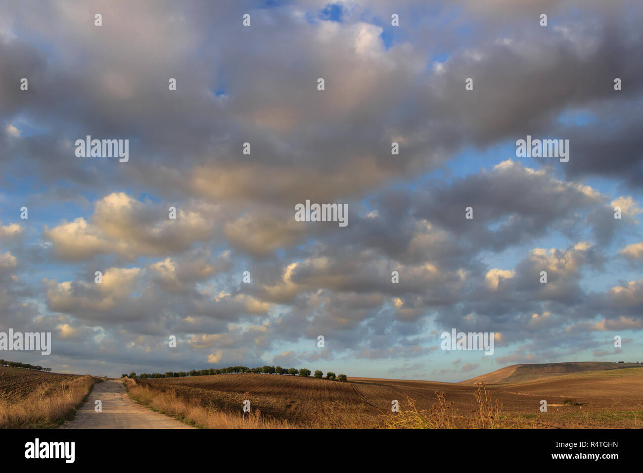 Puglia country hi-res stock photography and images - Alamy