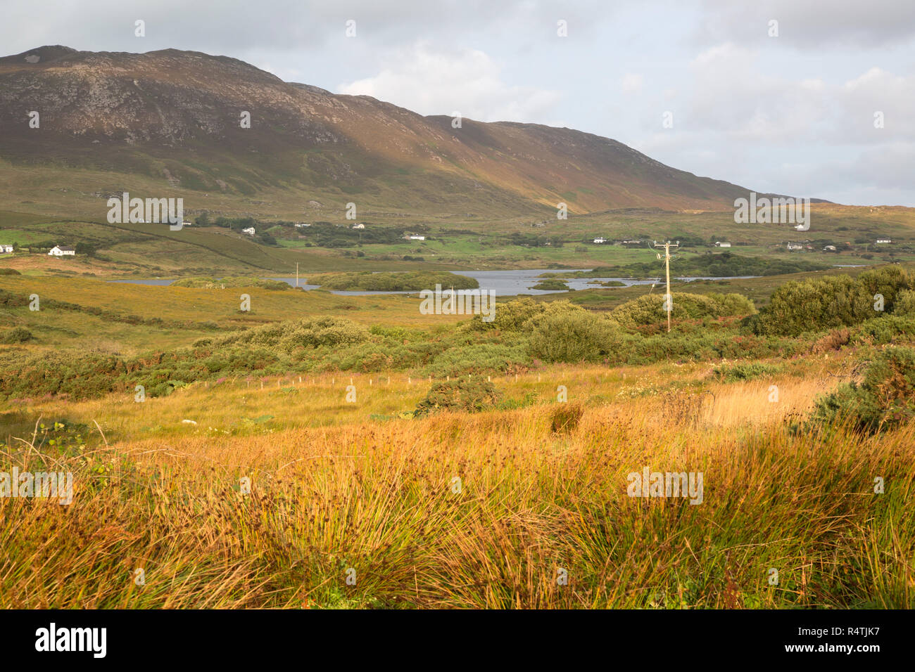 Tully cross hi-res stock photography and images - Alamy