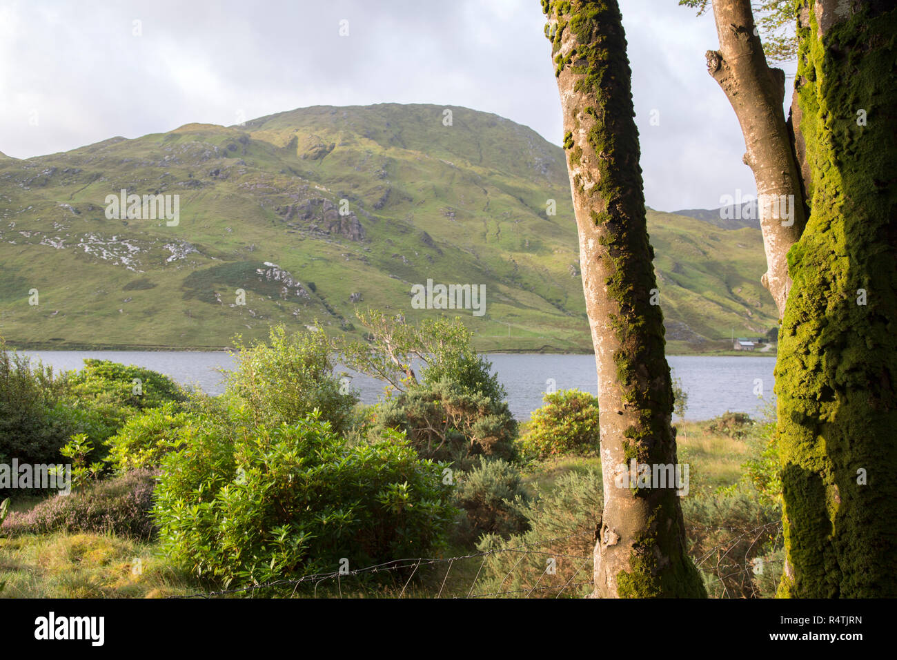 Kylemore Lough Lake; Connemara National Park; Ireland Stock Photo - Alamy