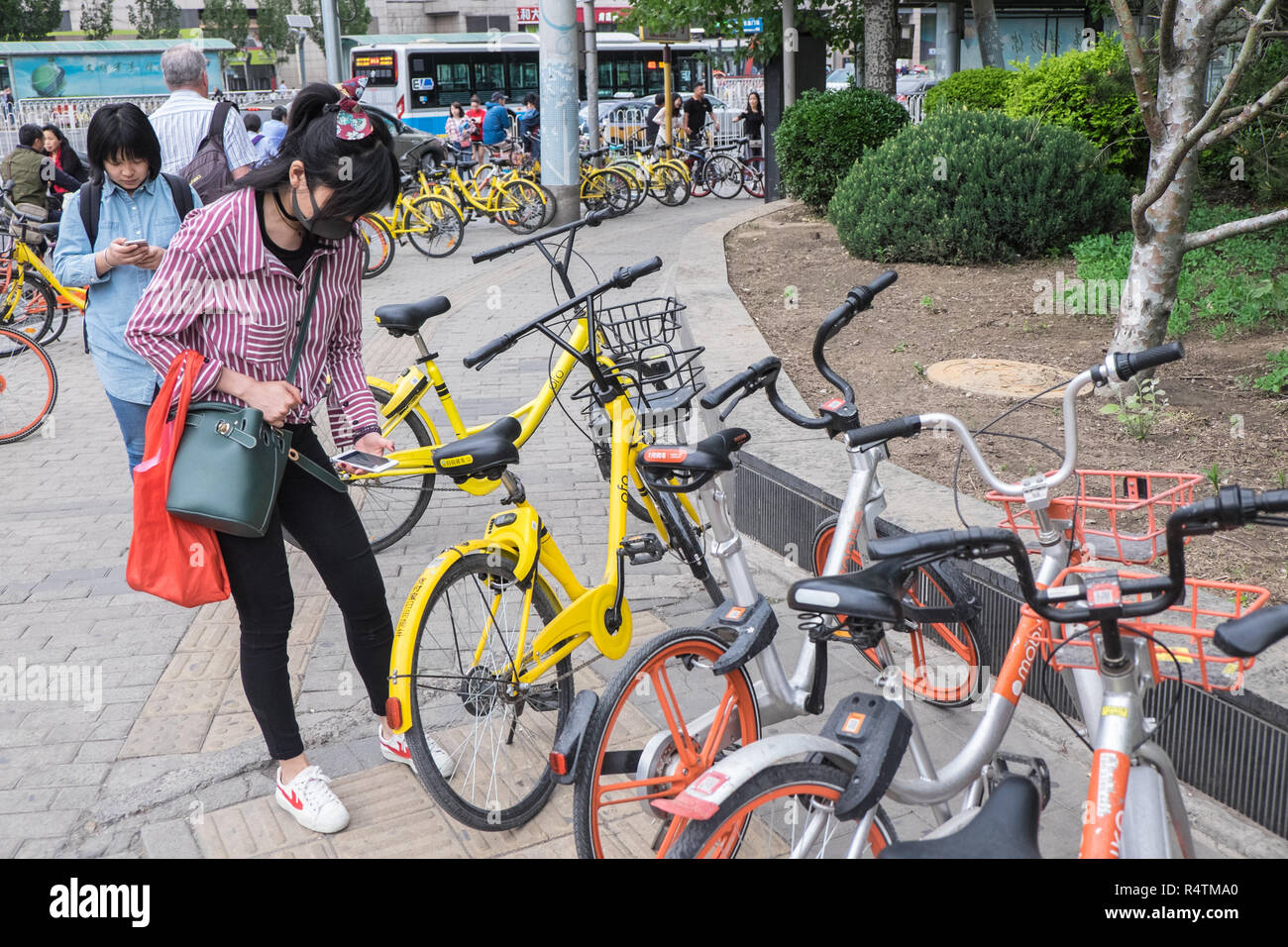 Using,mobile phone,app,to,access,dockless,bike,share,sharing,cycling ...