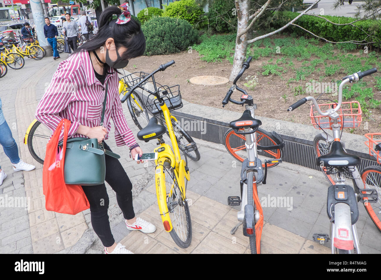 Using,mobile phone,app,to,access,dockless,bike,share,sharing,cycling ...