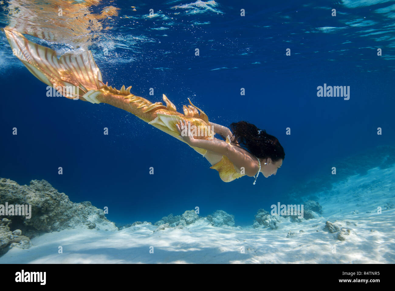 Mermaid swims under water, Indian Ocean, Maldives Stock Photo - Alamy