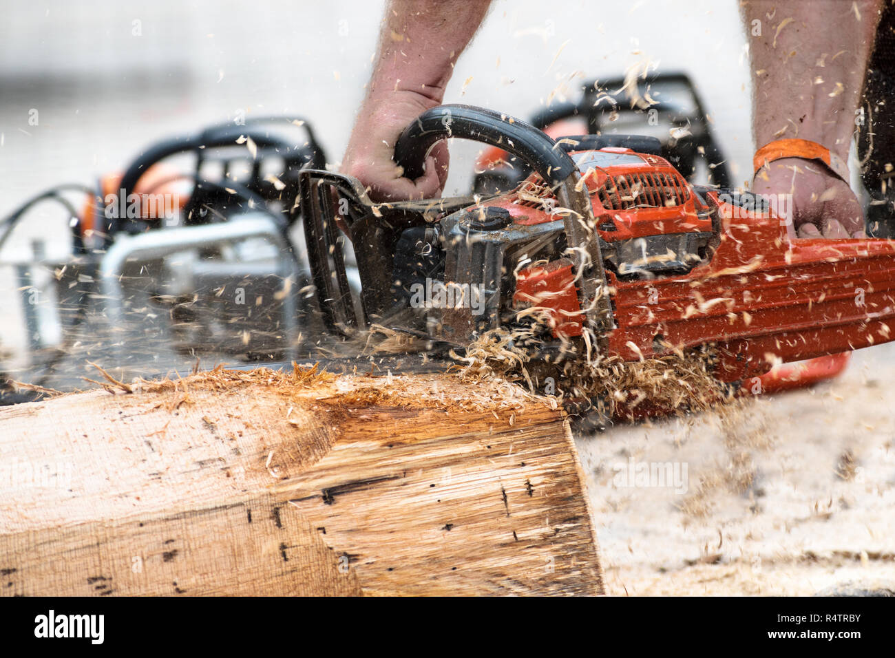 chainsaw in action with flying sawdust and motion blur, man is cutting ...