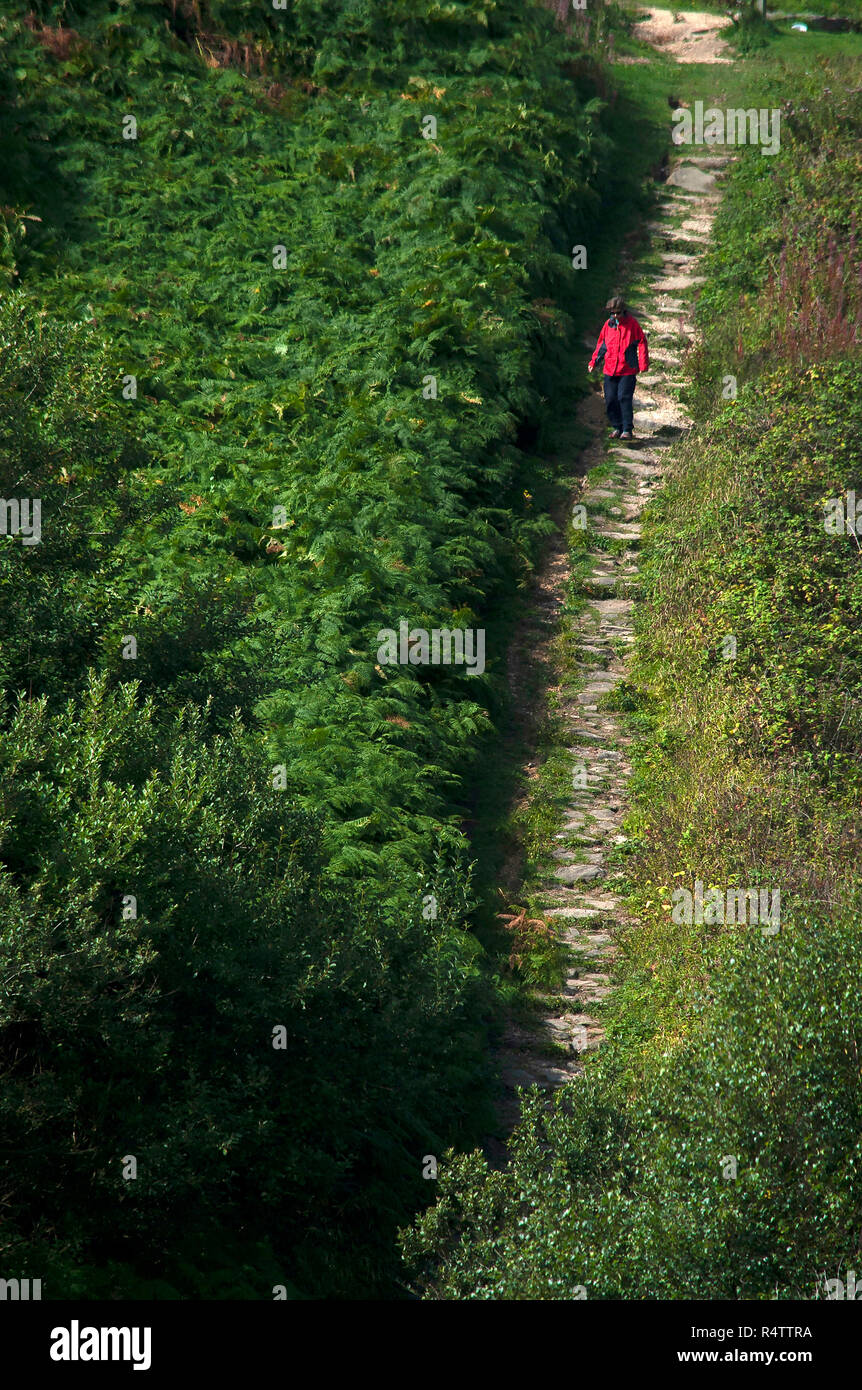 Woman walking down steep steps on Durham Heritage Coast path, County ...