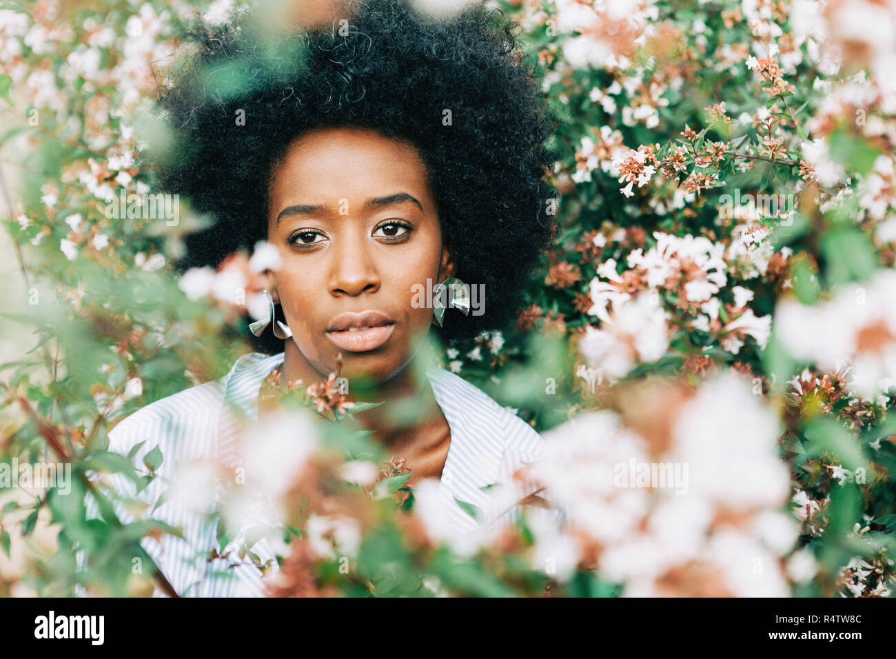 Portrait confident, serious young woman among pink flower blossoms ...