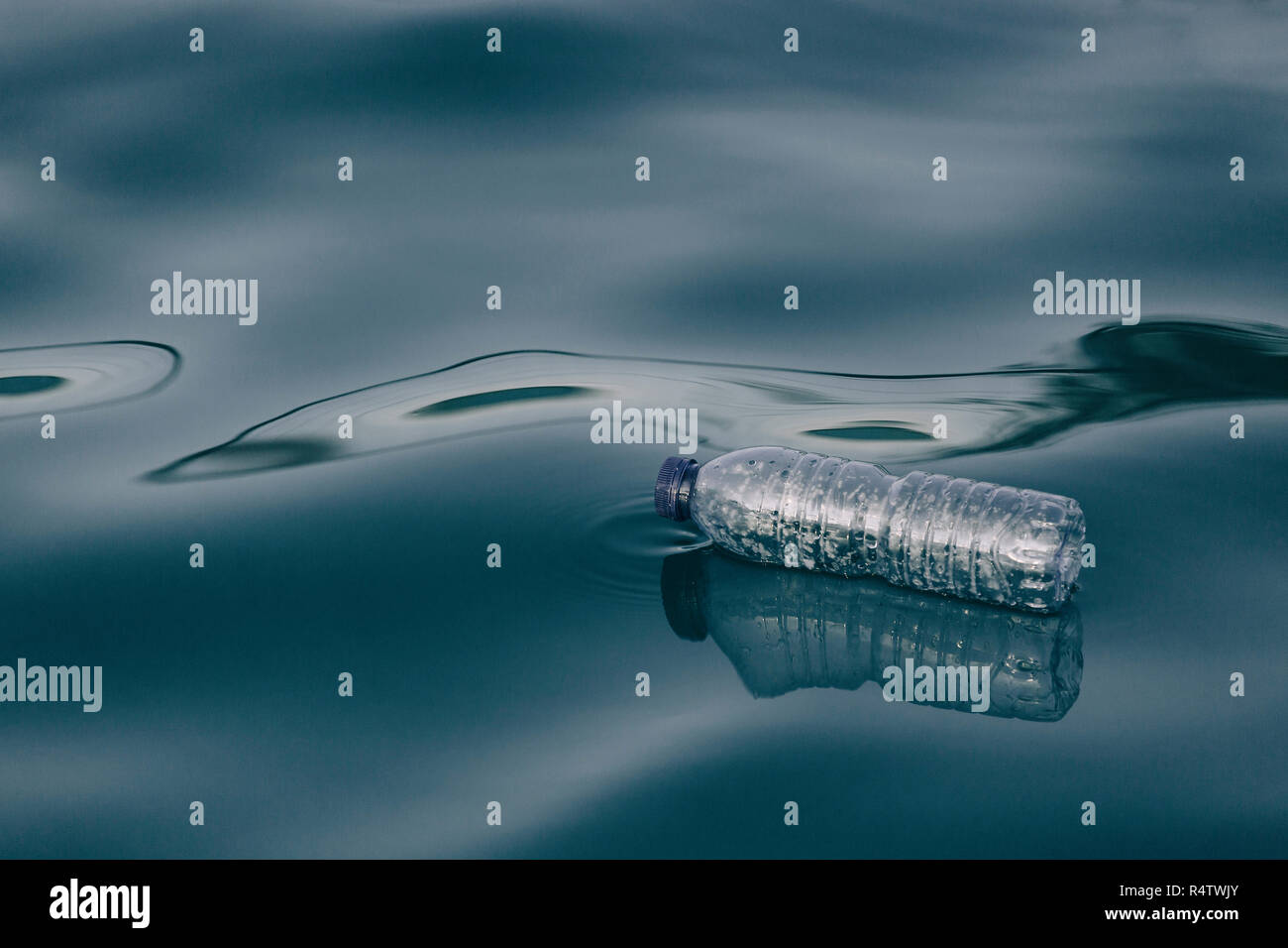 Plastic water bottle floating on water surface Stock Photo - Alamy