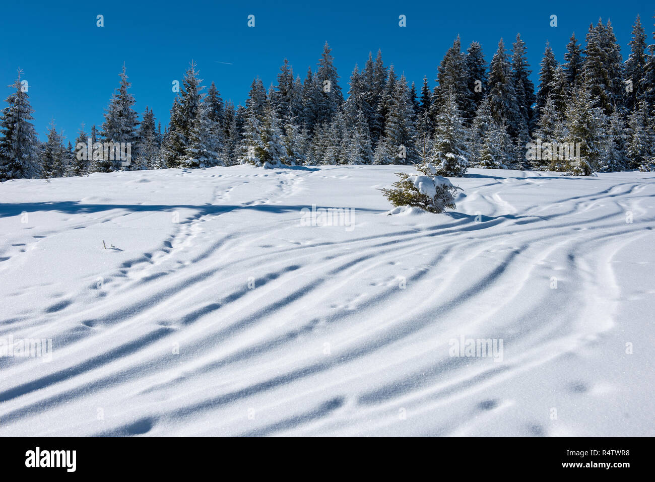 Snowboard trail hi-res stock photography and images - Alamy