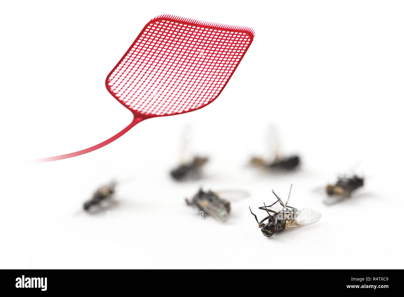 red flyswatter and dead flies isolated on a white background, copy ...