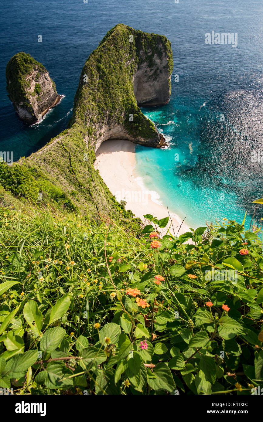 A view of the famous Kelingking beach in Nusa Penida near Bali ...