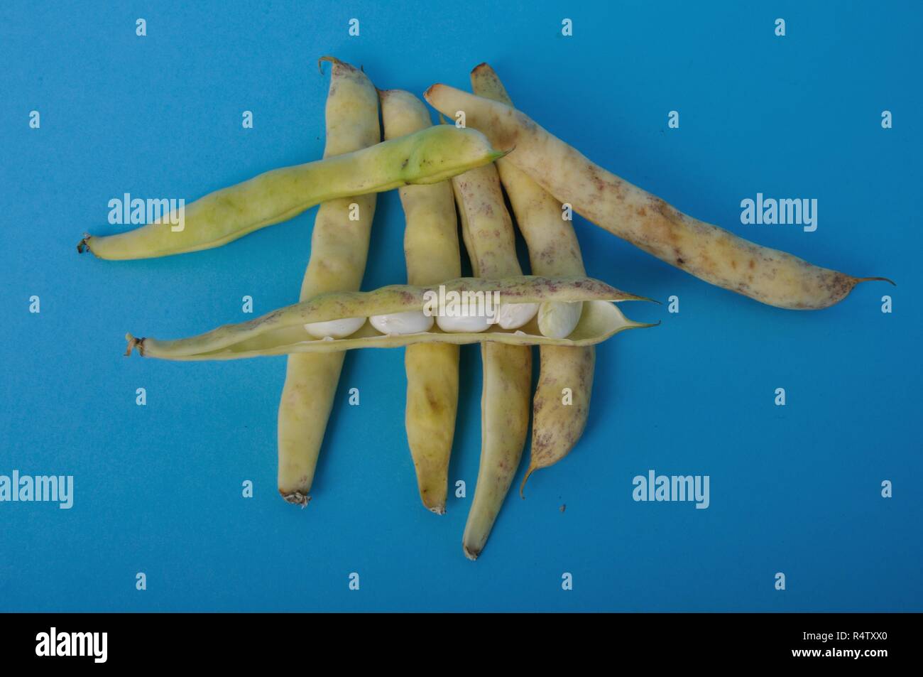 Coco beans hi-res stock photography and images - Alamy